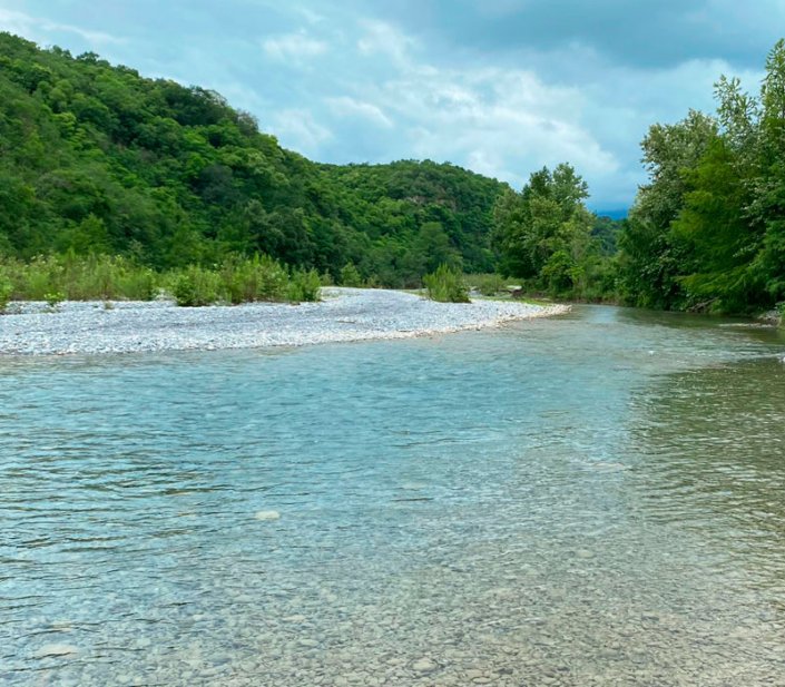 Mil Encinos – Lotes Campestres – Terrenos Carretera Nacional